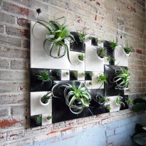 Ceramic Wallscape Planters | Pandemic Design Studio