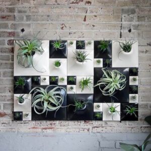 Ceramic Wallscape Planters | Pandemic Design Studio